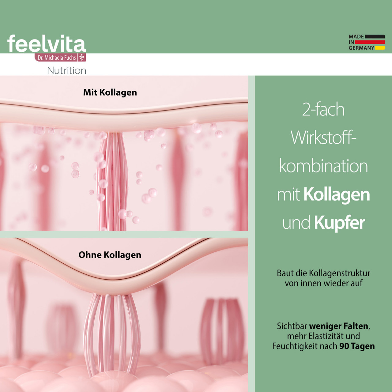 Vitalität, Schönheit, Gesundheit – Feelvita Nutrition by Dr. Michaela Fuchs