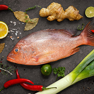 Red Snapper