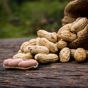 Erdnuss