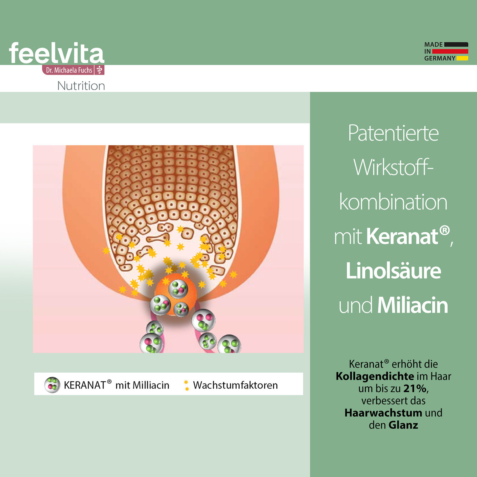 Vitalität, Schönheit, Gesundheit – Feelvita Nutrition by Dr. Michaela Fuchs